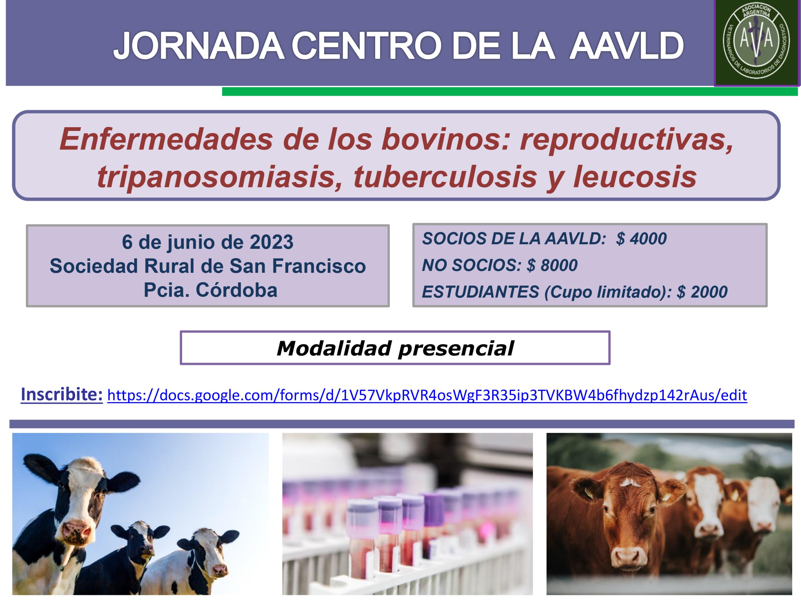 Jornada Centro de la AAVLD – AAVLD