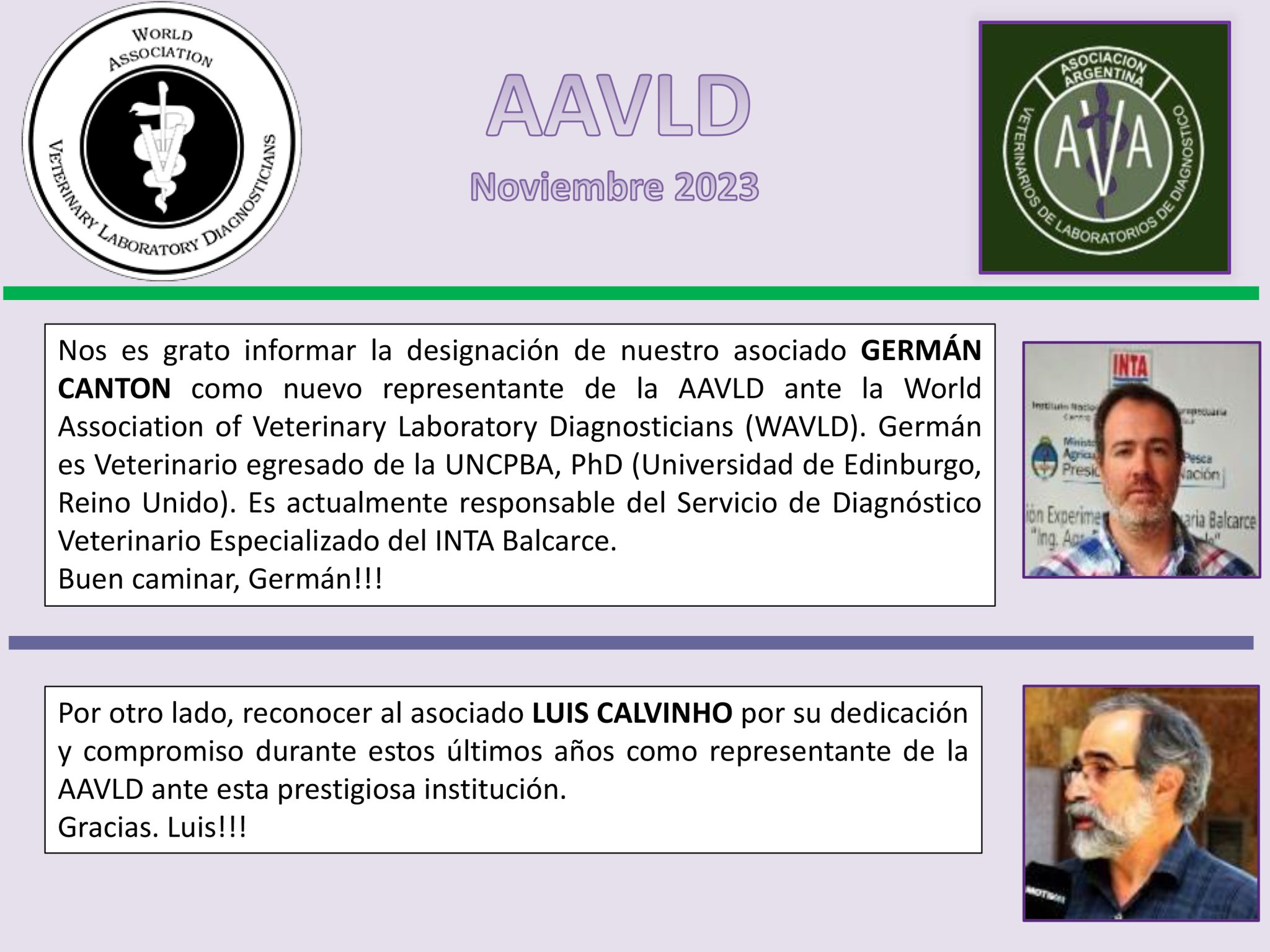 Noticias – AAVLD